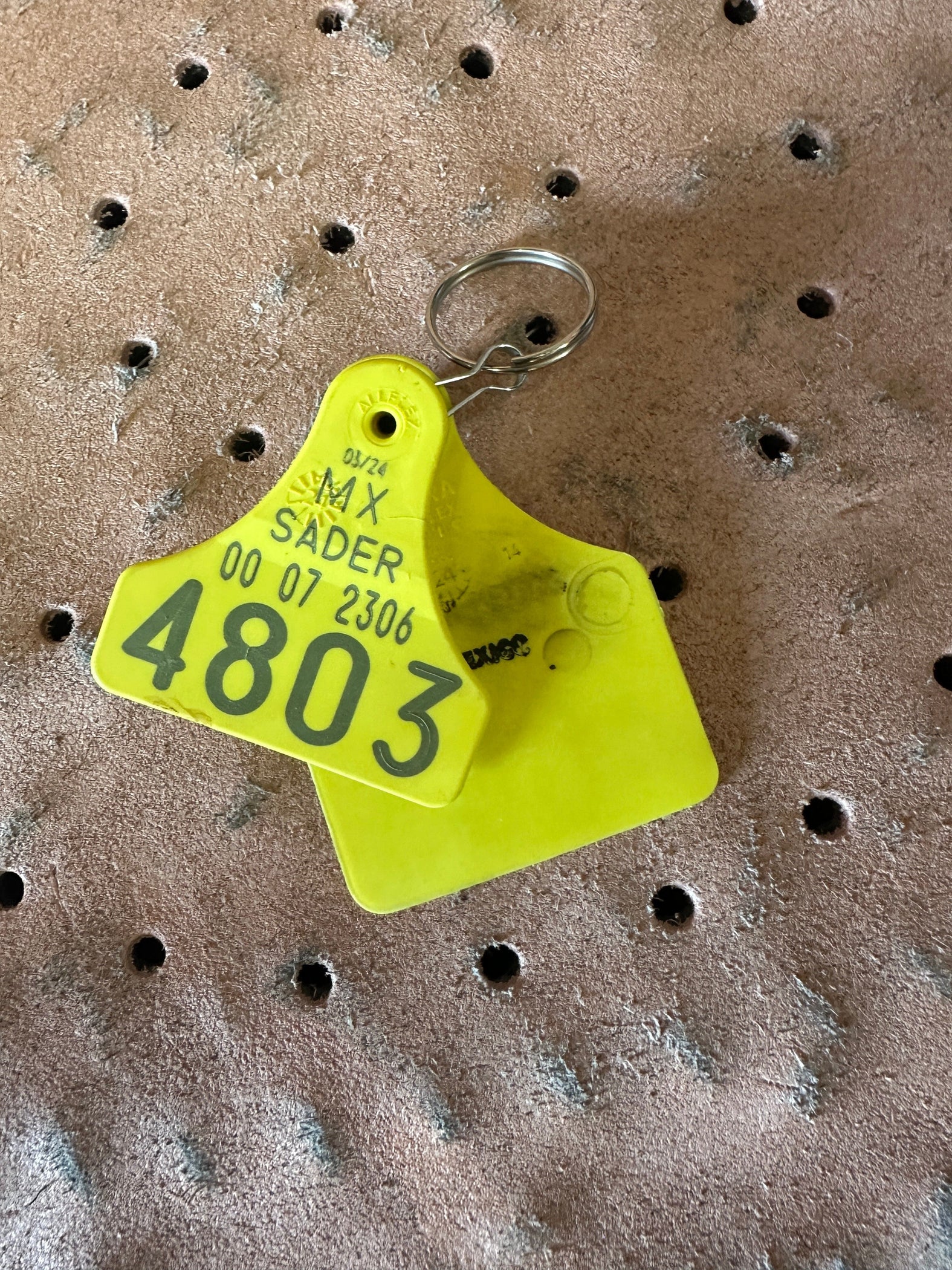Cattle / Cow Tag Keychain / Llavero de Arete de Vaca with Keyring Atta ...
